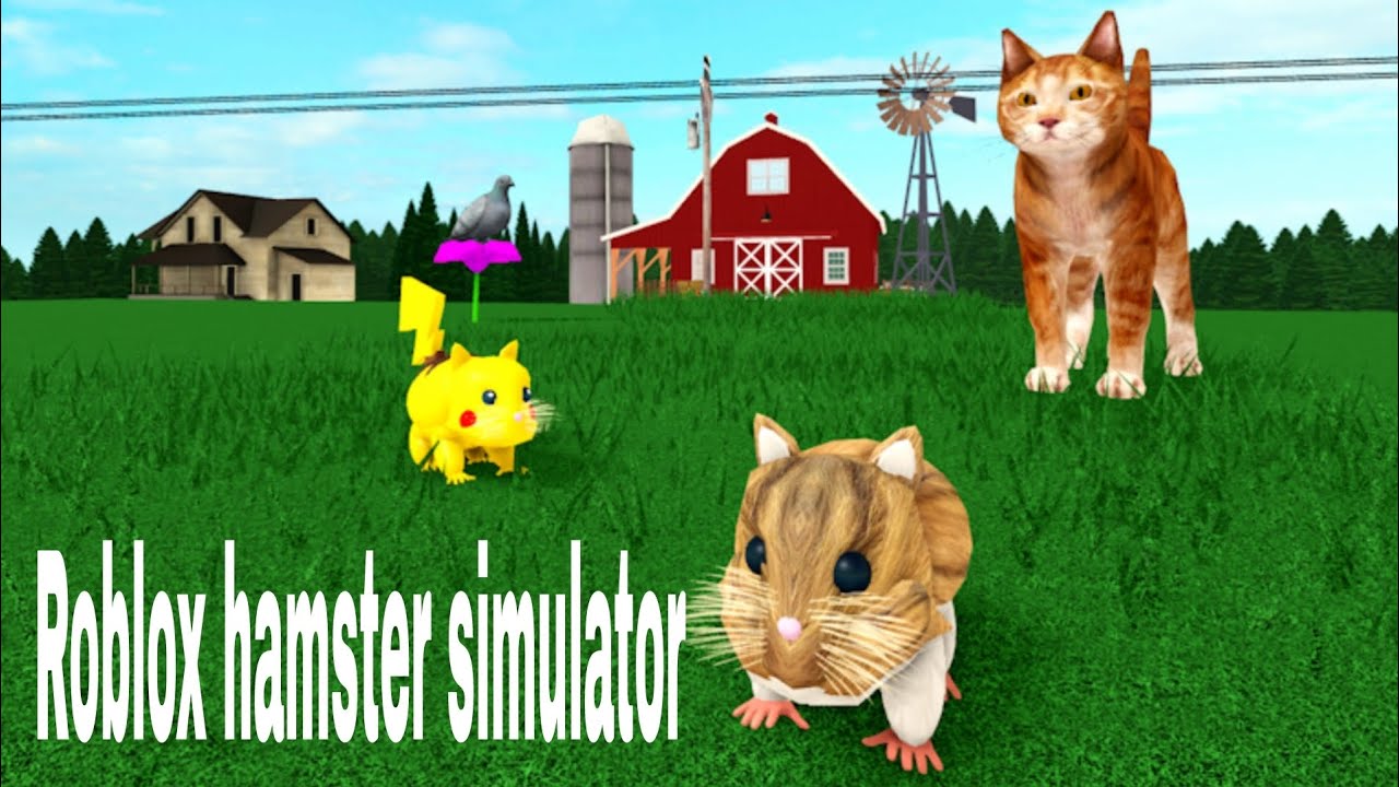 "¡Exploramos Roblox Hamster Simulator en Español! 🐹" - YouTube