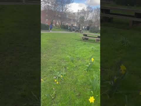 Stepney park,London. - YouTube