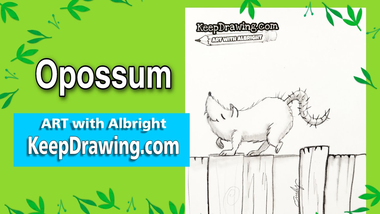 How to DRAW a cute Opossum ~ Step by step guided lesson ~ ART with ...