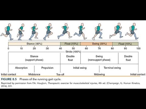 Gait cycle nella corsa