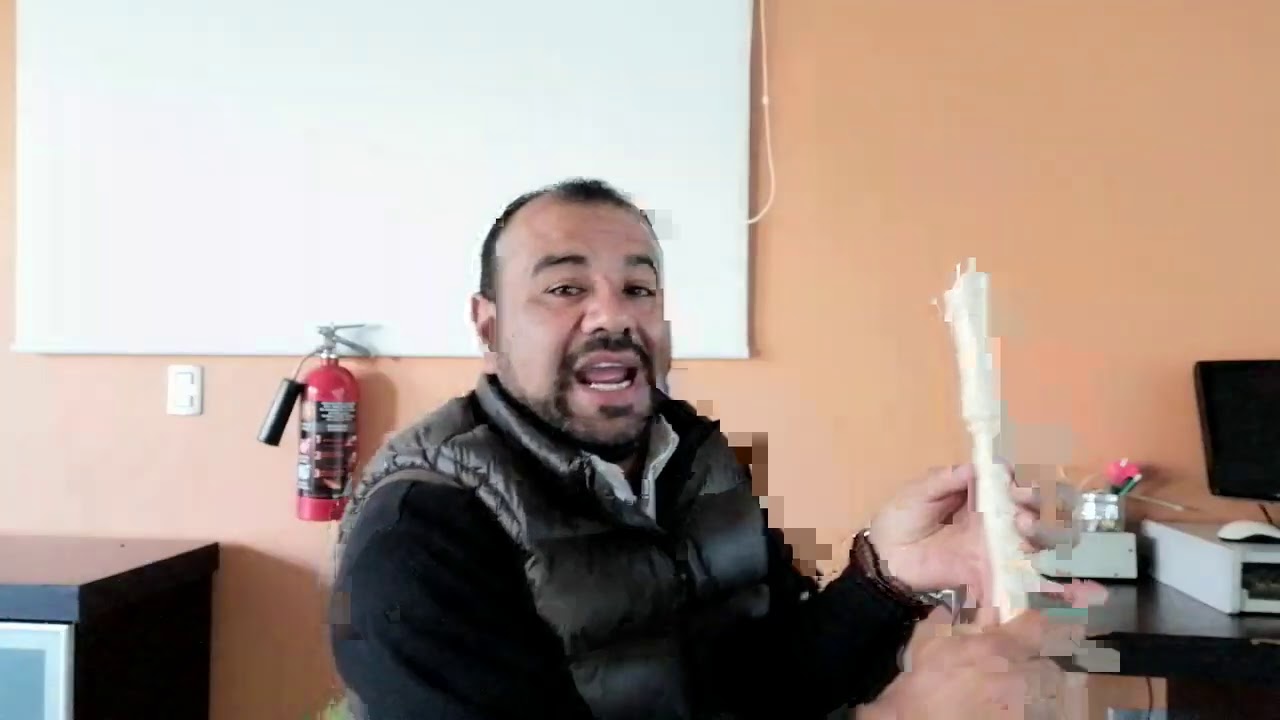 EL CARNAVALITO MÚSICA ANDINA 2 PARÁ FLAUTA DULCE - YouTube