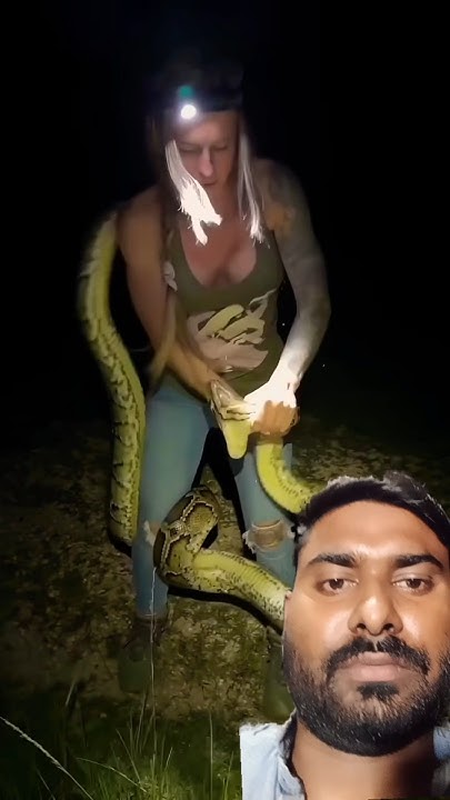 Python snake #snake #bigpython #YouTube shorts#YouTube viral#viral #yt short - YouTube