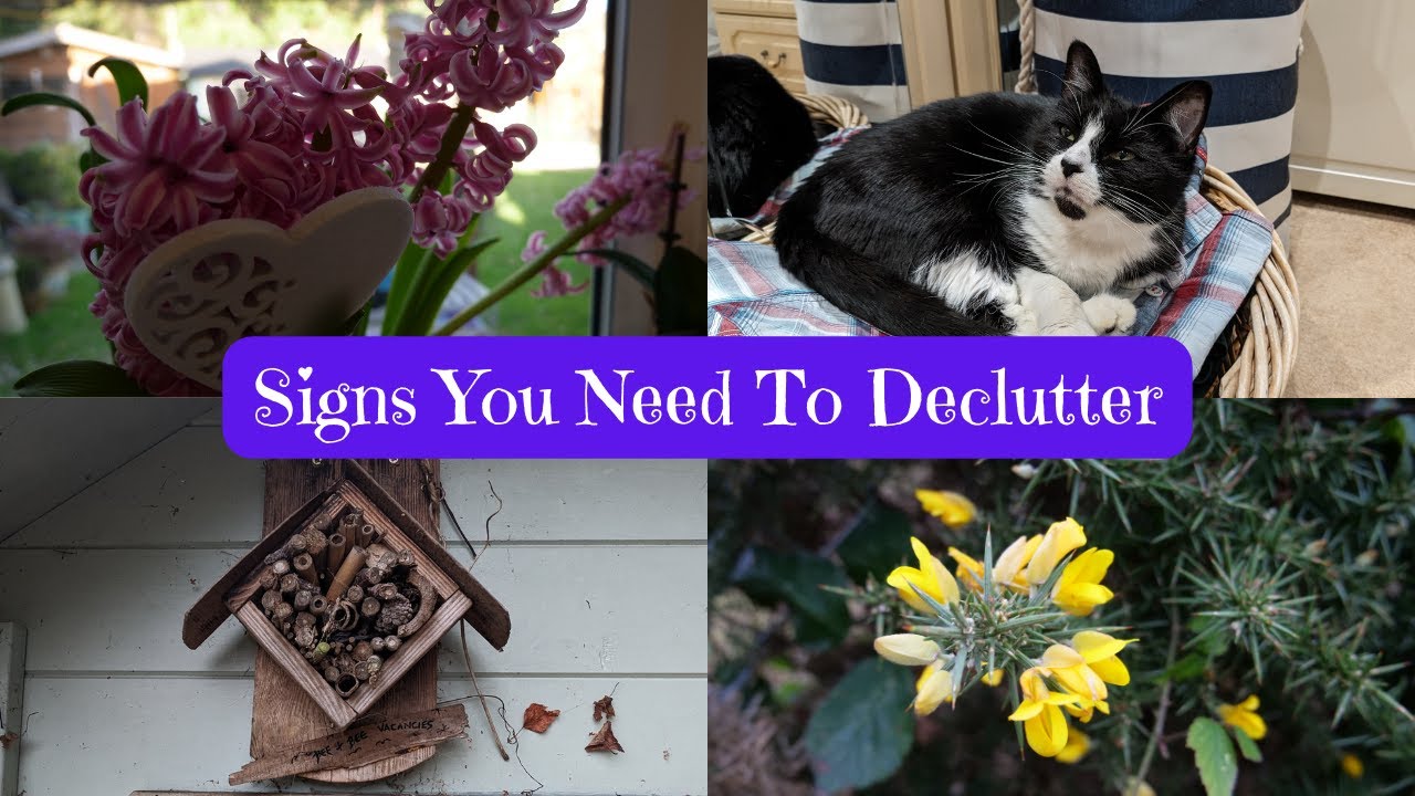 Signs You Need To Declutter | What's Clutter | What's Not Clutter - YouTube