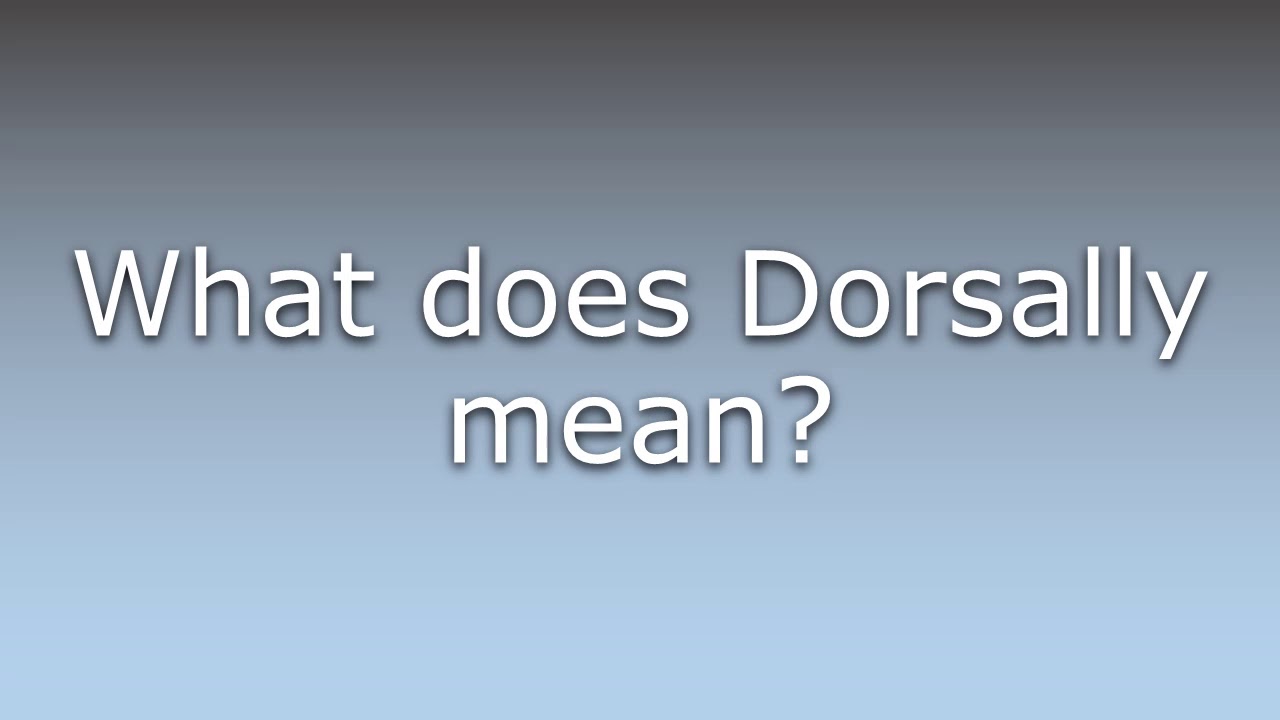 What does Dorsally mean? - YouTube