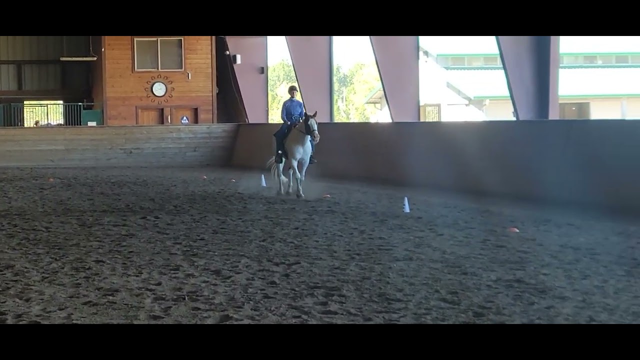 Ruby and Dexter Western Dressage Intro level test 1 - YouTube