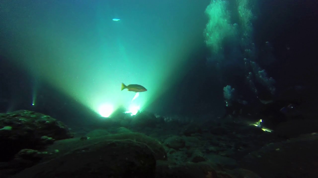 Manta Ray Night Dive Hawaii - YouTube