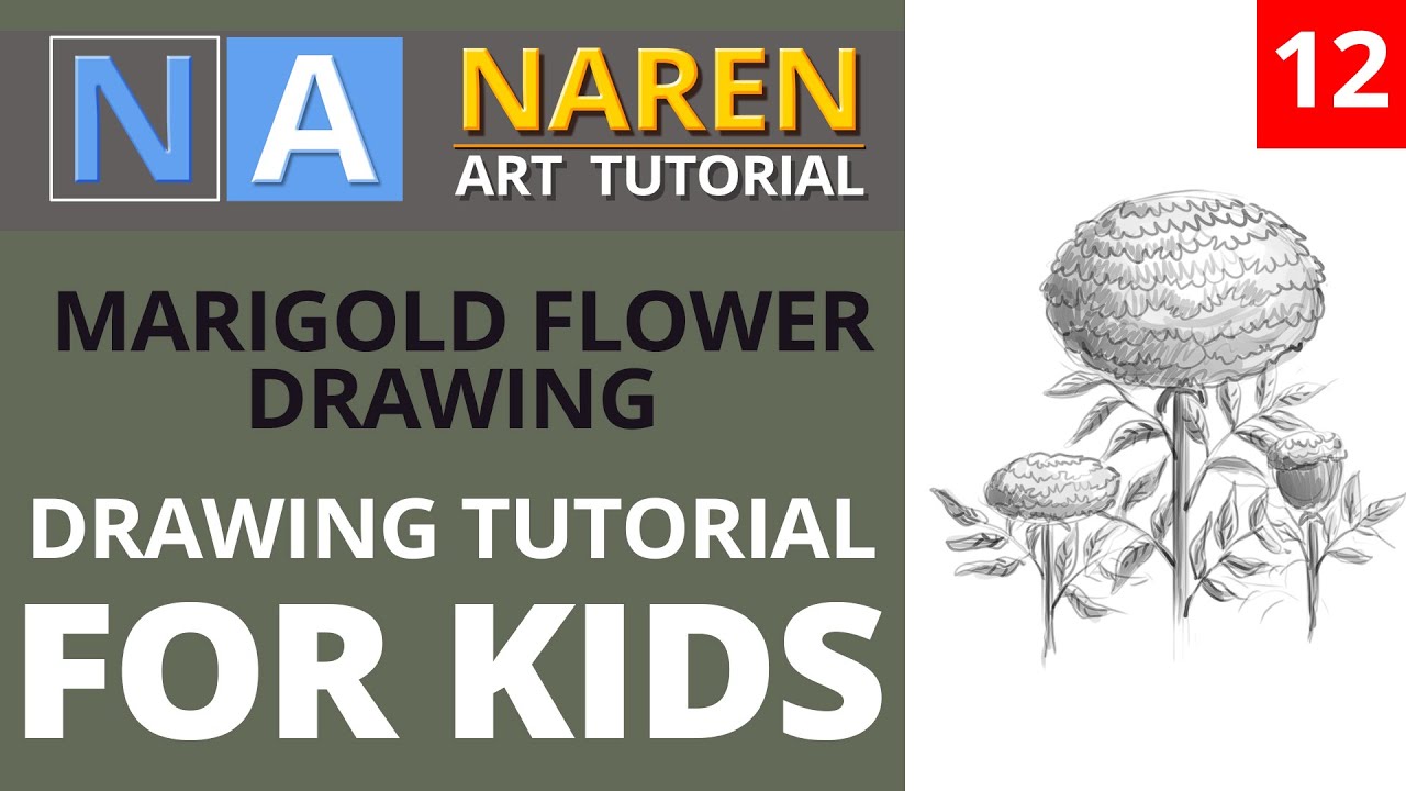 Marigold Drawing Tutorial - 12 narenarts. - YouTube