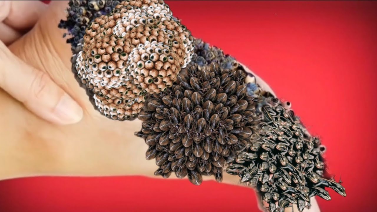 ASMR Animation Treatment 2D Infected 🚑 Legs,, Treatments Collections || 2D Deep Cleaning ...