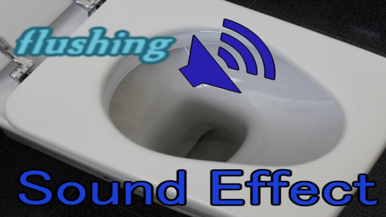 [ASMR]Toilet flushing sound effect - YouTube