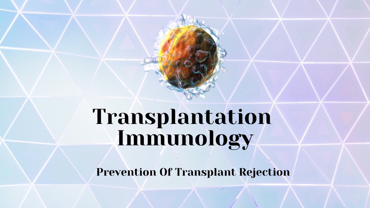 Prevention Of Transplant Rejection | Transplantation Immunology - YouTube
