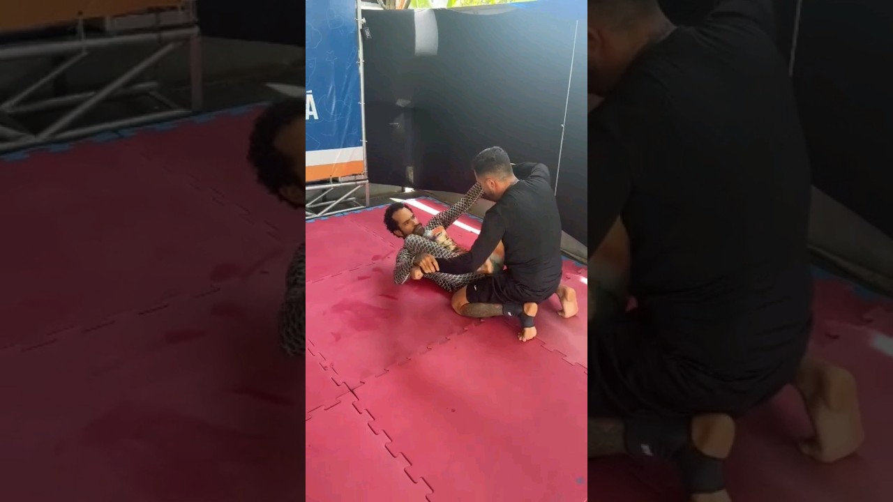 BJJ Arena Verão 2024 Aquecimento - YouTube