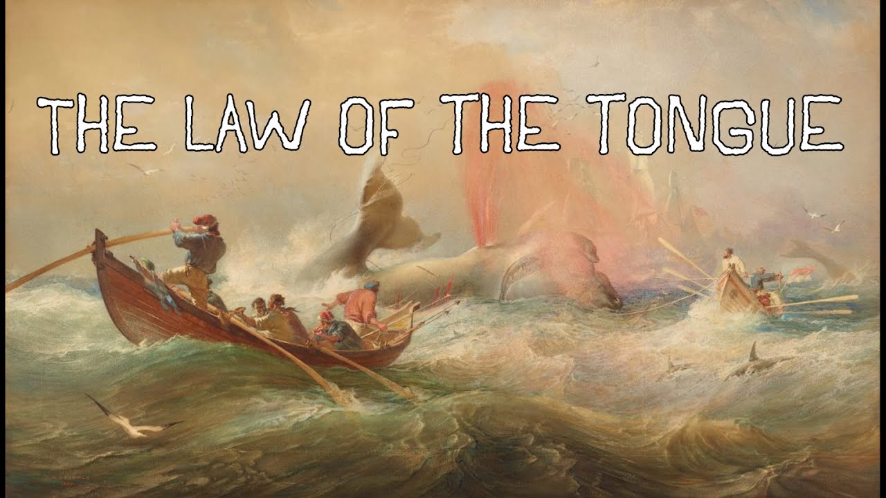 Orcas are Awesome | The Law Of The Tongue - YouTube