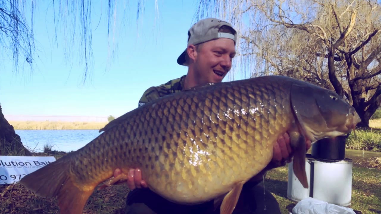 Team Golden Carp @ Donaldson Dam - YouTube