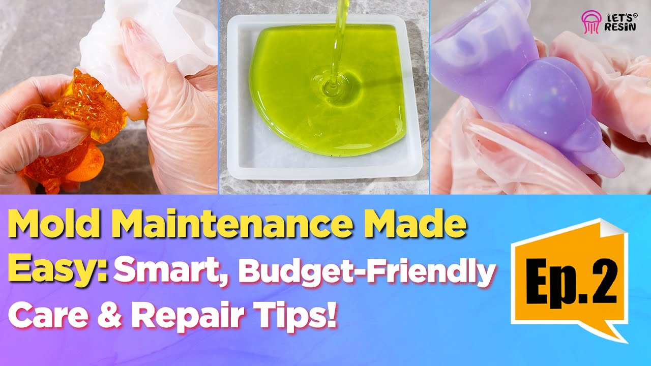 Mold Maintenance Made Easy: Smart, Budget-Friendly Care & Repair Tips ...