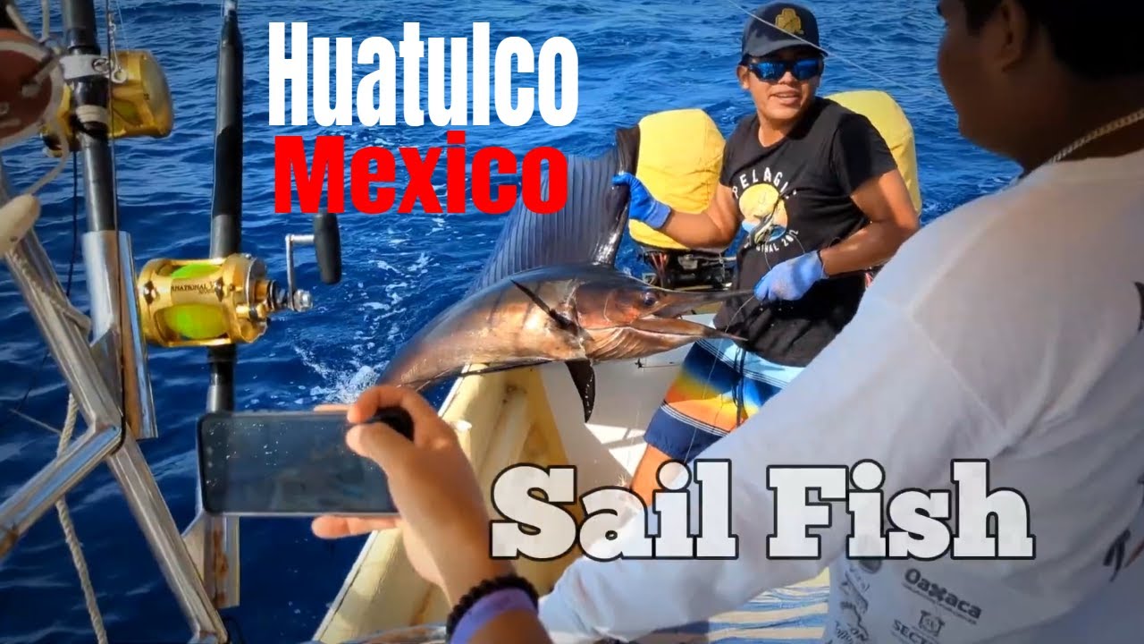 Amazing Seafood and catch and cook Sailfish in Huatulco, Mexico ...
