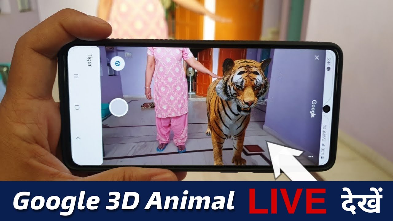 Google 3D Animals | Google 3d Animals AR Feature | How to get 3d ...