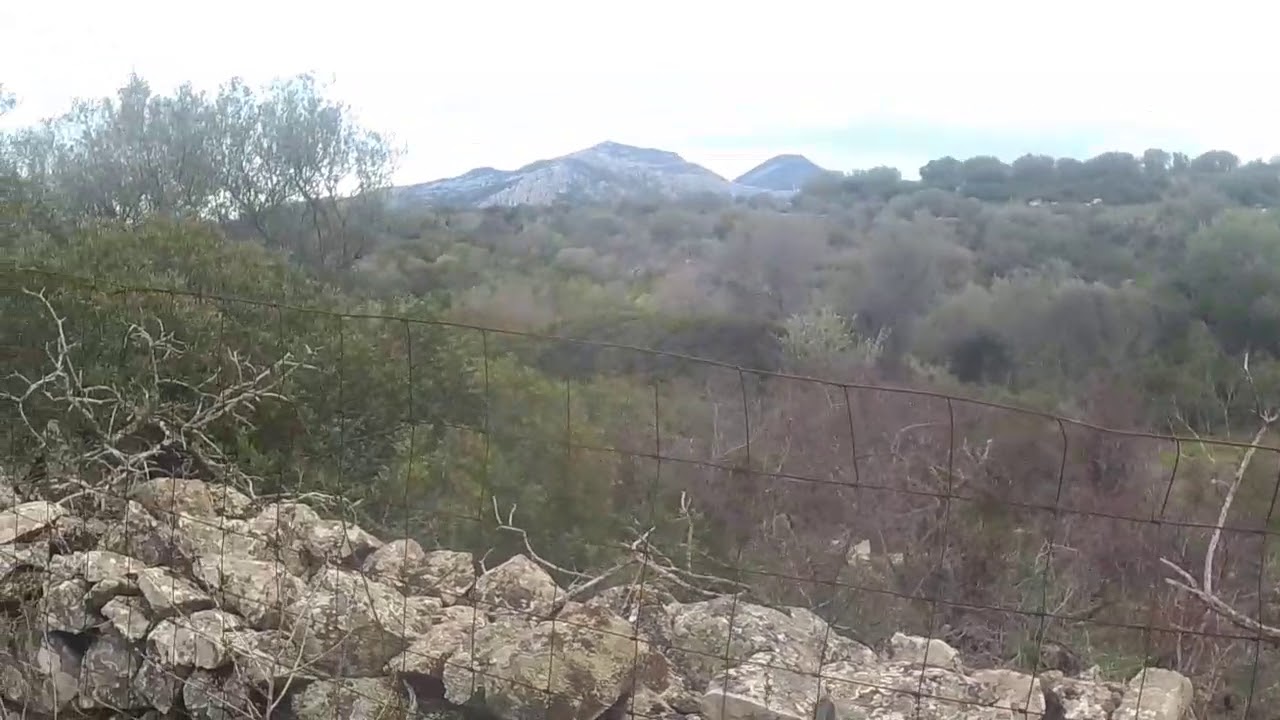 Caccia grossa col cal 20 Dorgali - YouTube