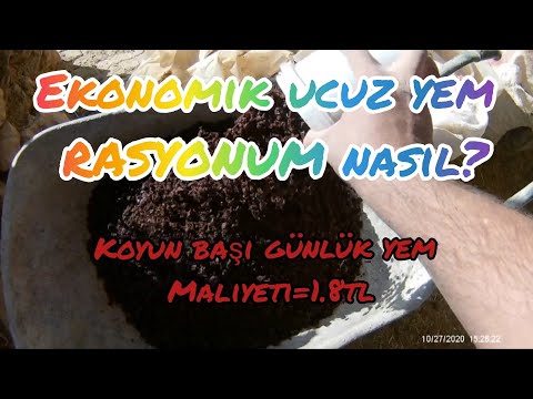 EKONOMİK KÜÇÜKBAŞ YEM RASYONUM👍