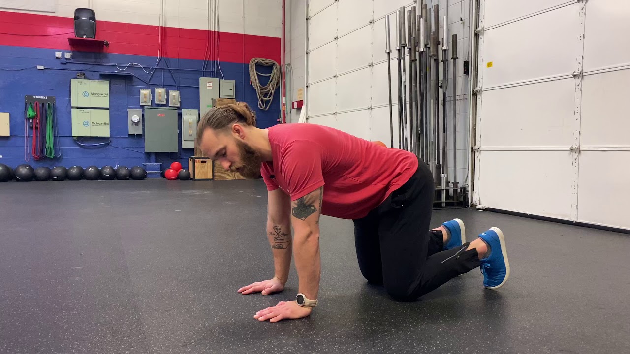 Bear Crawl - YouTube