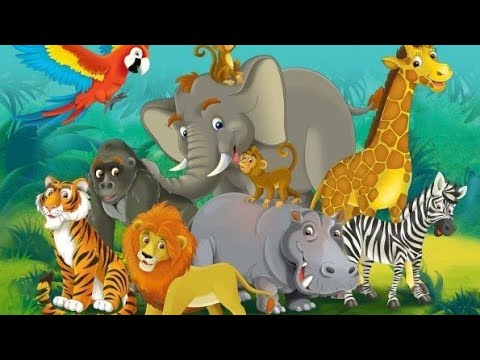 Cute Talking Animals Conversations Anime For Kids #animals - YouTube