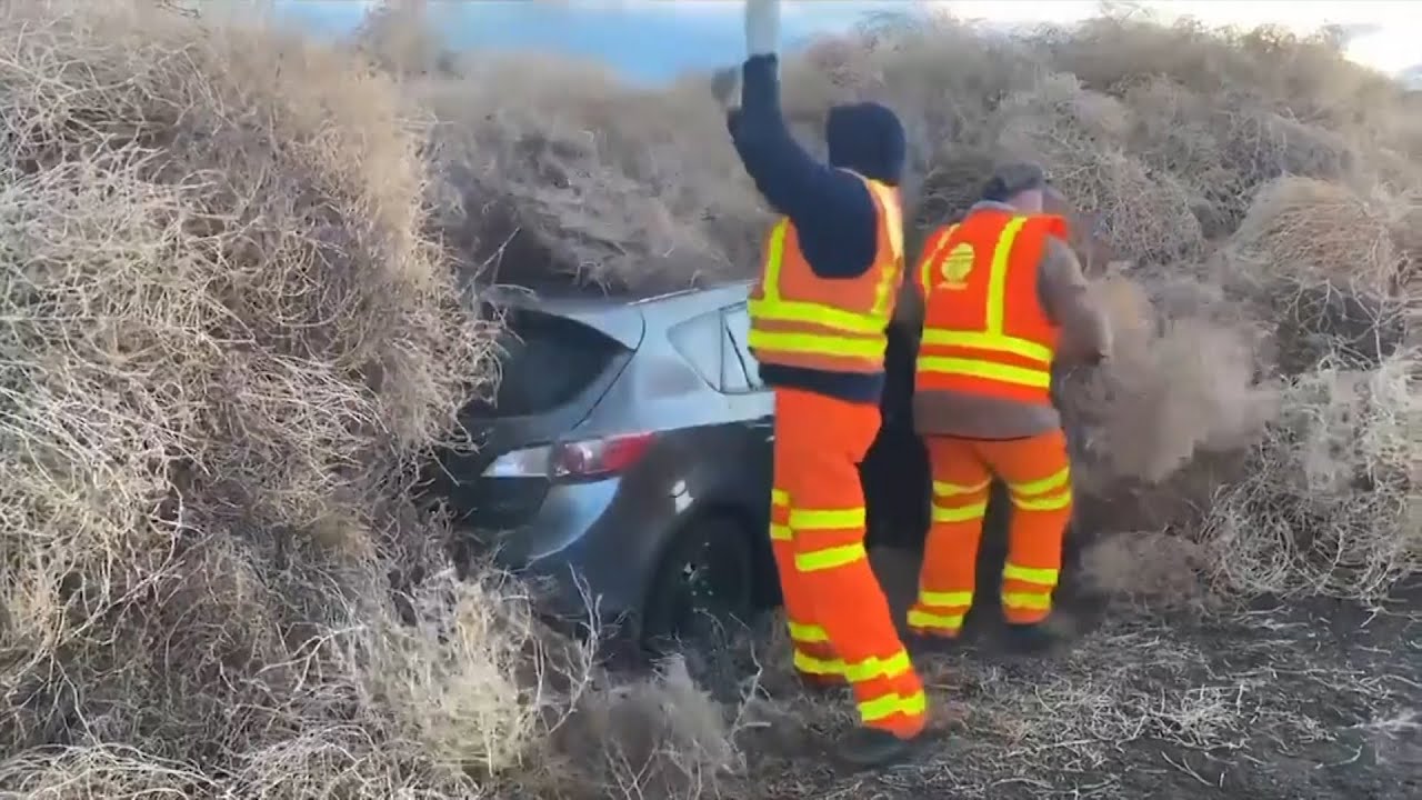 Tumbleweeds trap cars, trucks in rural Washington - YouTube