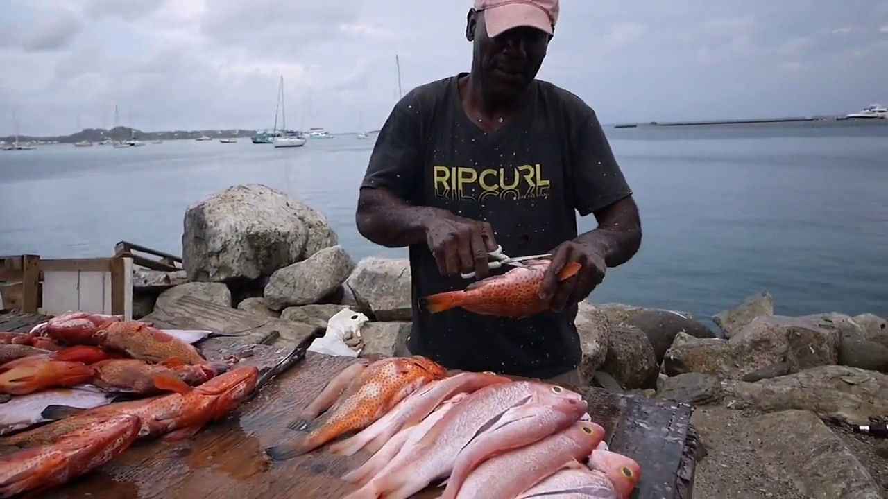 Where to get the freshest fish in St. Martin - YouTube