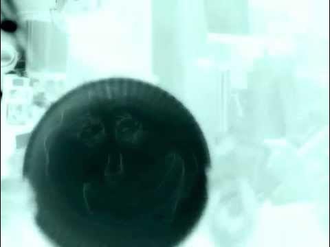 Crucible of Empire, The Spanish American War - YouTube