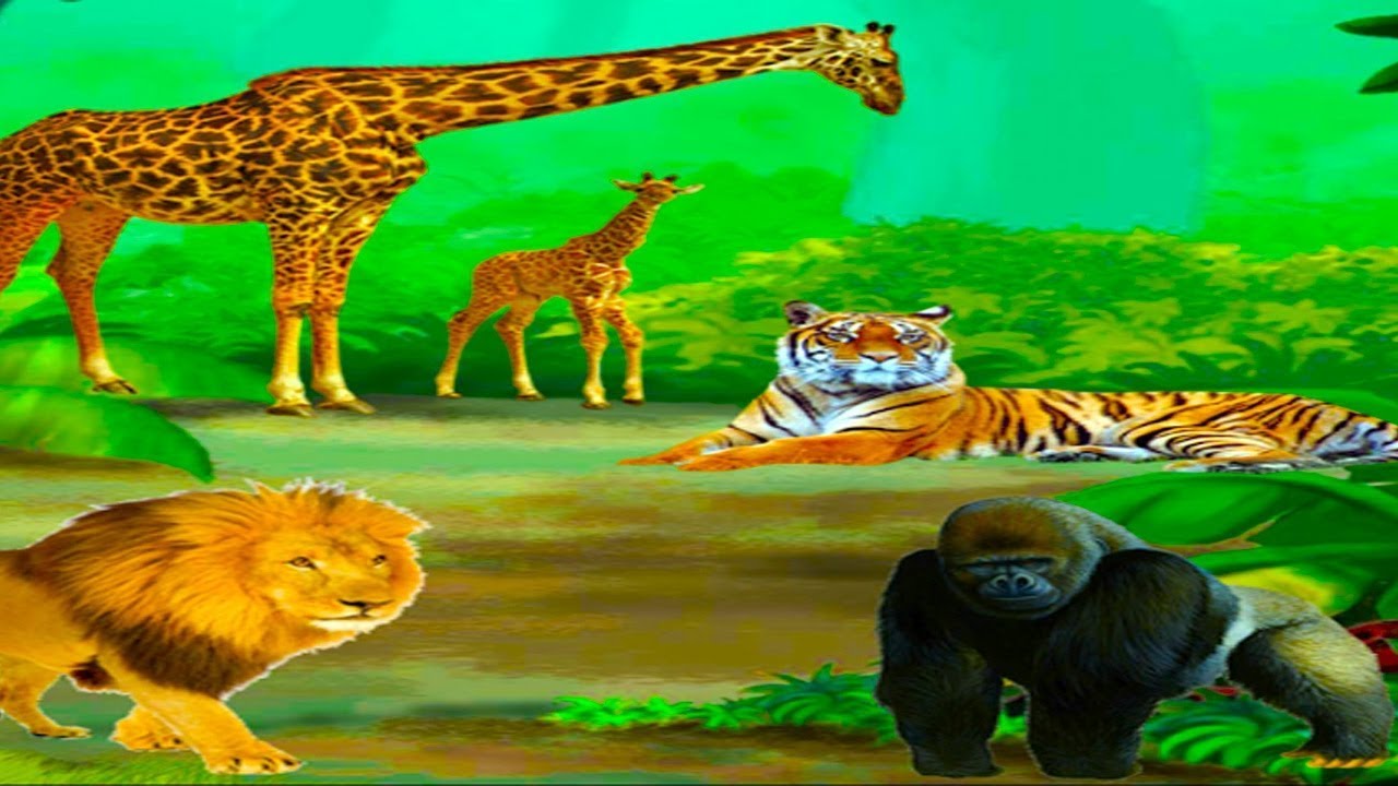 Melodious sounds from the animal Toad Onta Tiger Goose Chameleon and ...