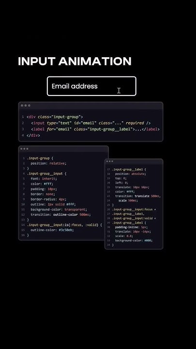 input animation | #css #javascript #webdevelopment #animation - YouTube