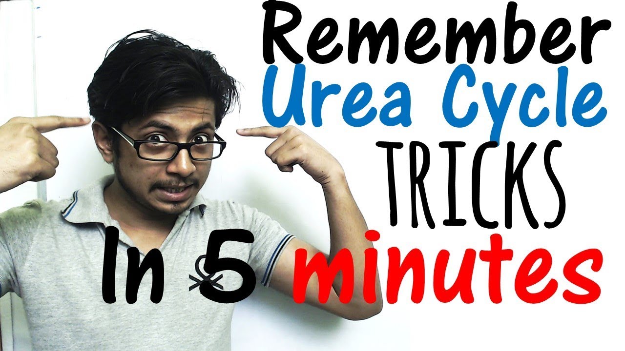 Urea cycle easy steps and tricks | Mnemonics to learn urea cycle in ...