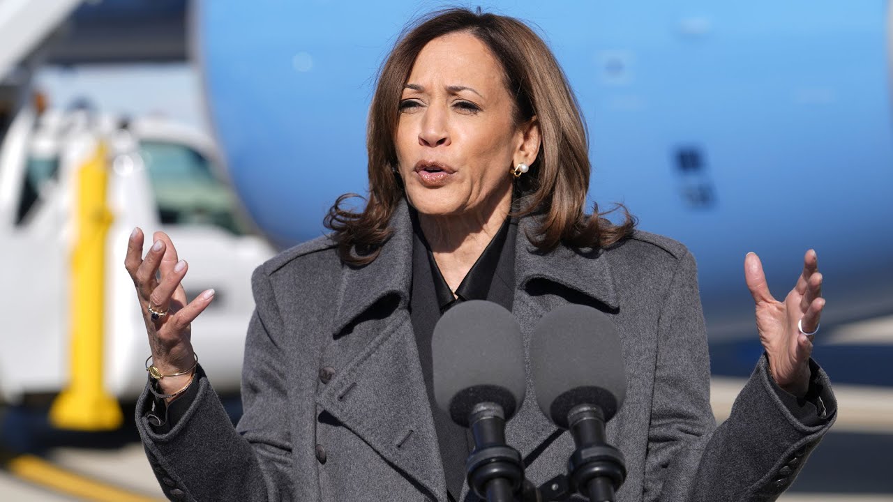 Democrats' ground game give them the edge | Political commentator Avis ...