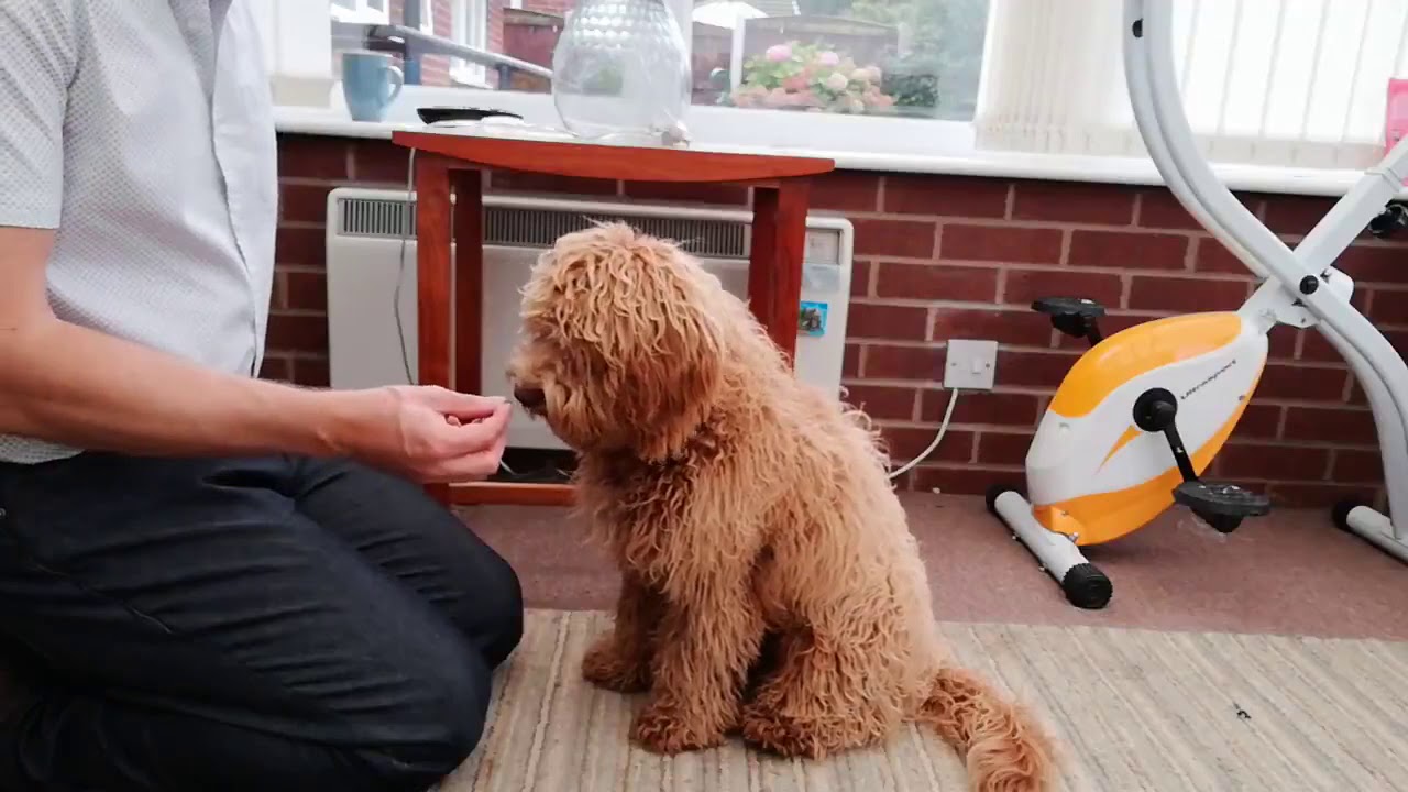 Hand Target - YouTube