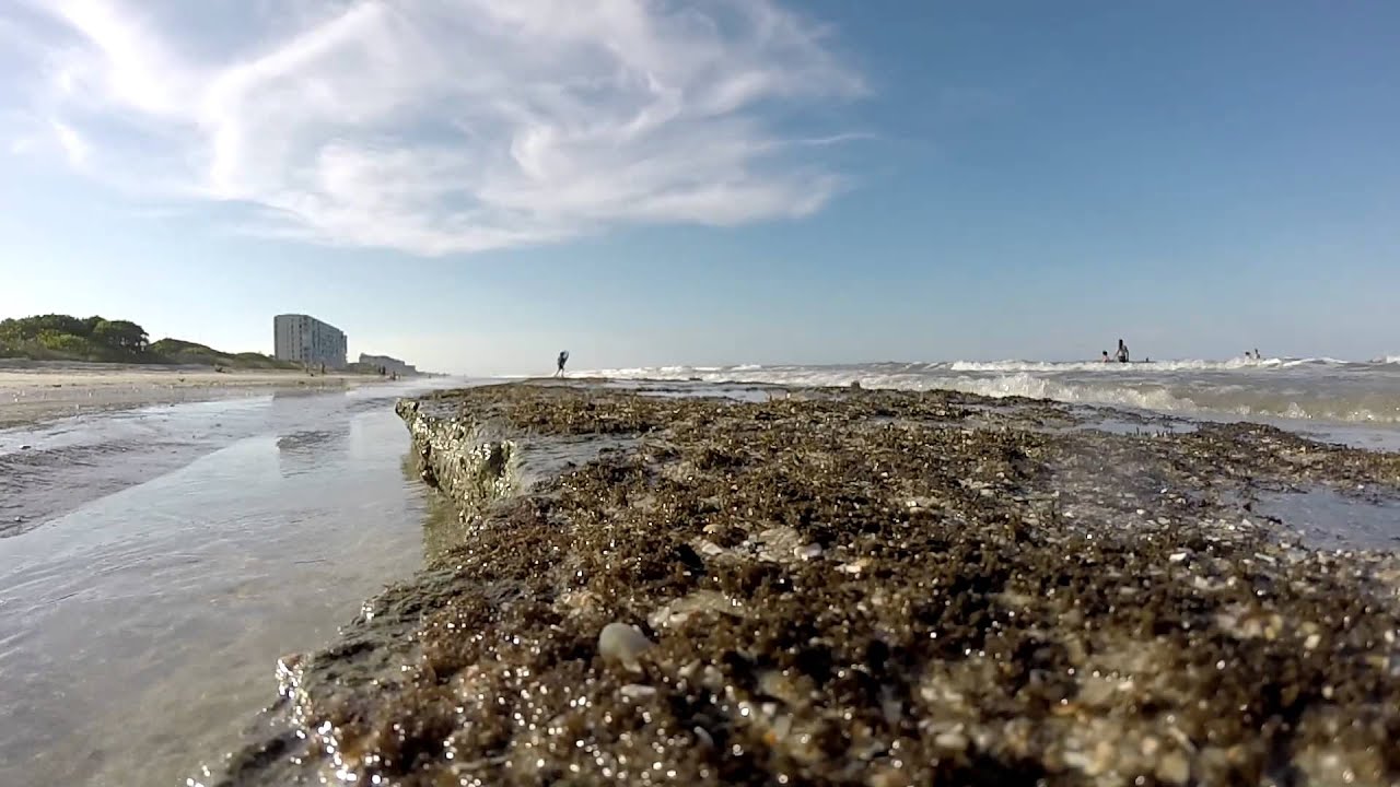 Canova Beach Reef at Low Tide Video - YouTube
