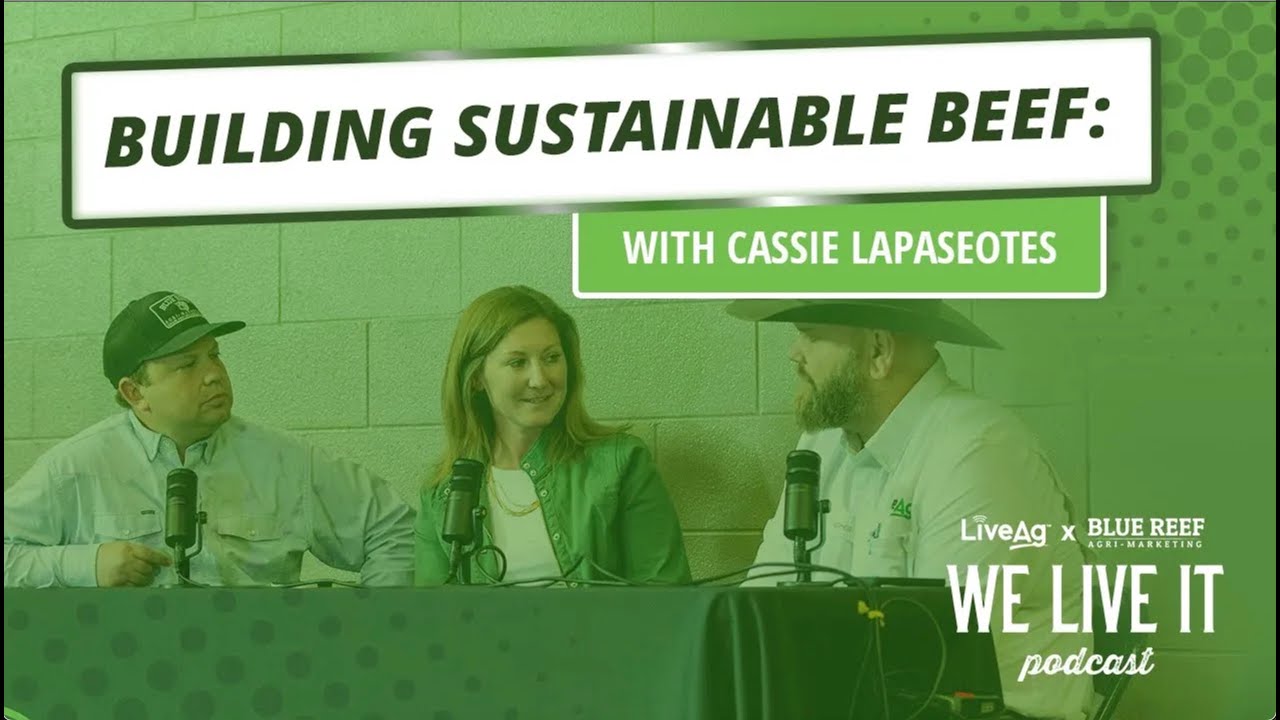 Building Sustainable Beef with Cassie Lapaseotes | LiveAg's Ranch and ...