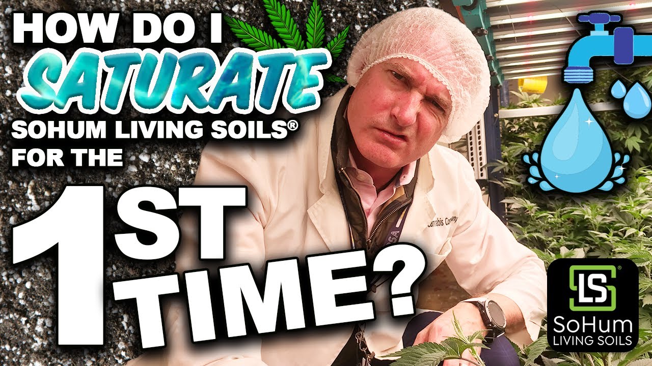 How Do I Saturate SoHum Living Soils For The 1st Time? - YouTube