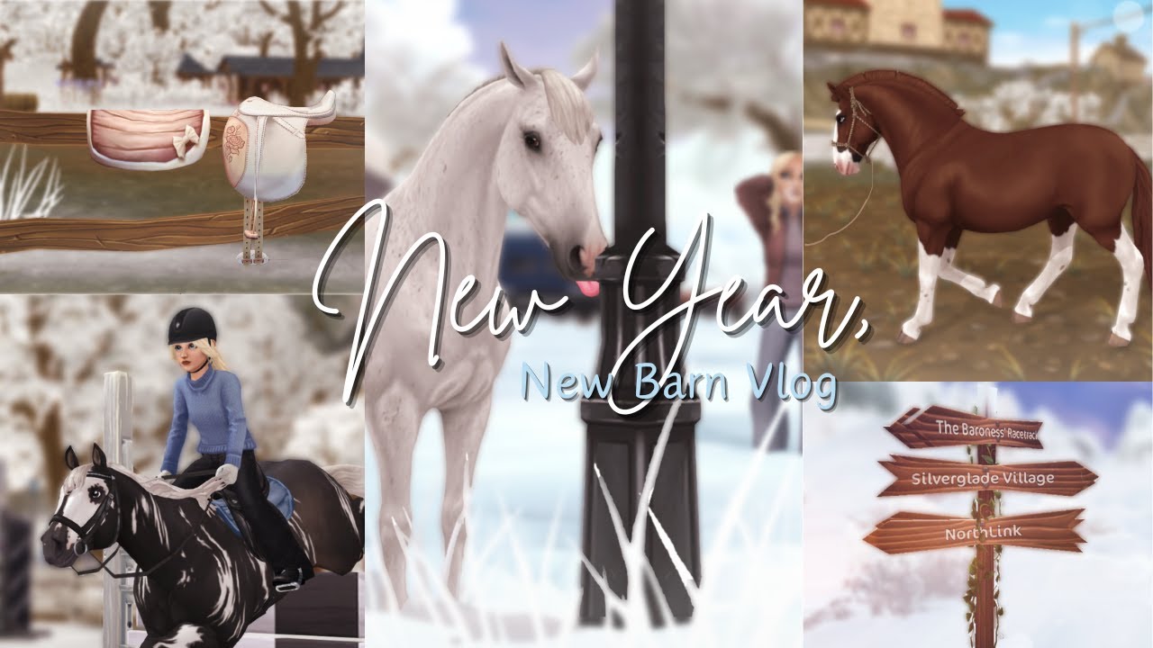 New Year, New Winter Barn Vlog! (horse auction, foal update, christmas ...