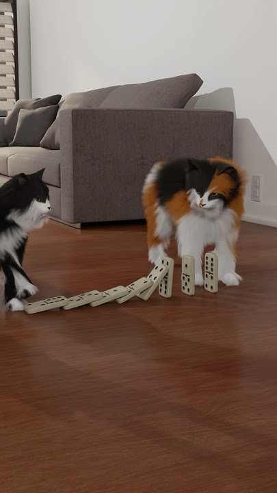 Cats playing with Dominoes - YouTube