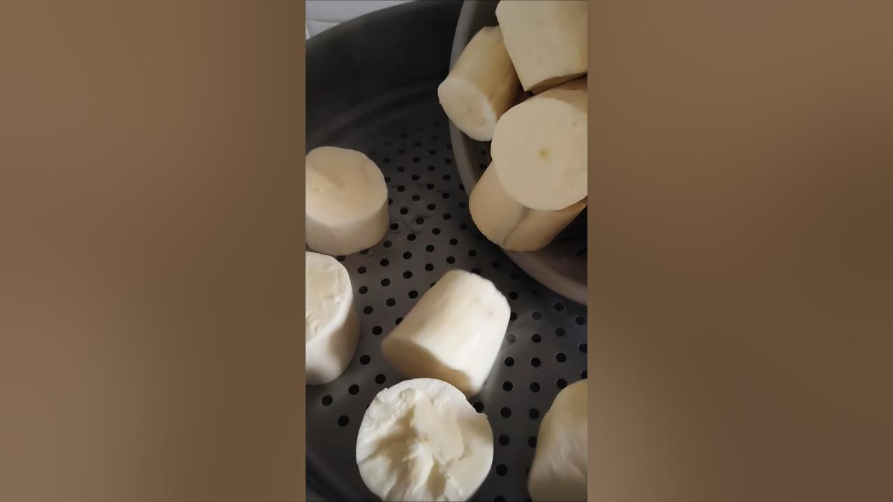 PROSES PEMBUATAN TAPE SINGKONG - YouTube