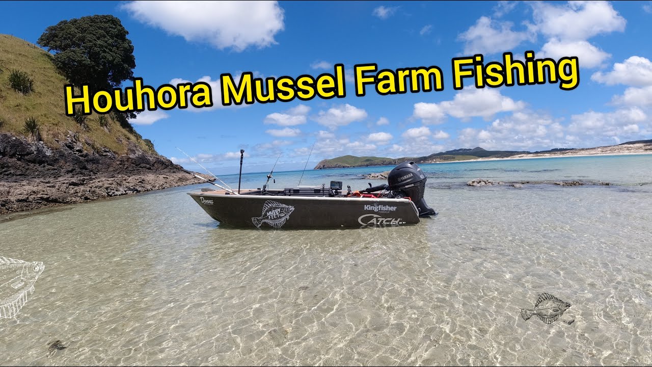 Houhora Mussel Farm Fishing With Nova - YouTube
