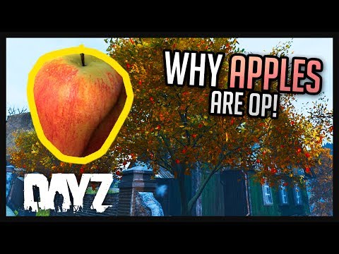Why Apples are OP in DayZ .62 - YouTube