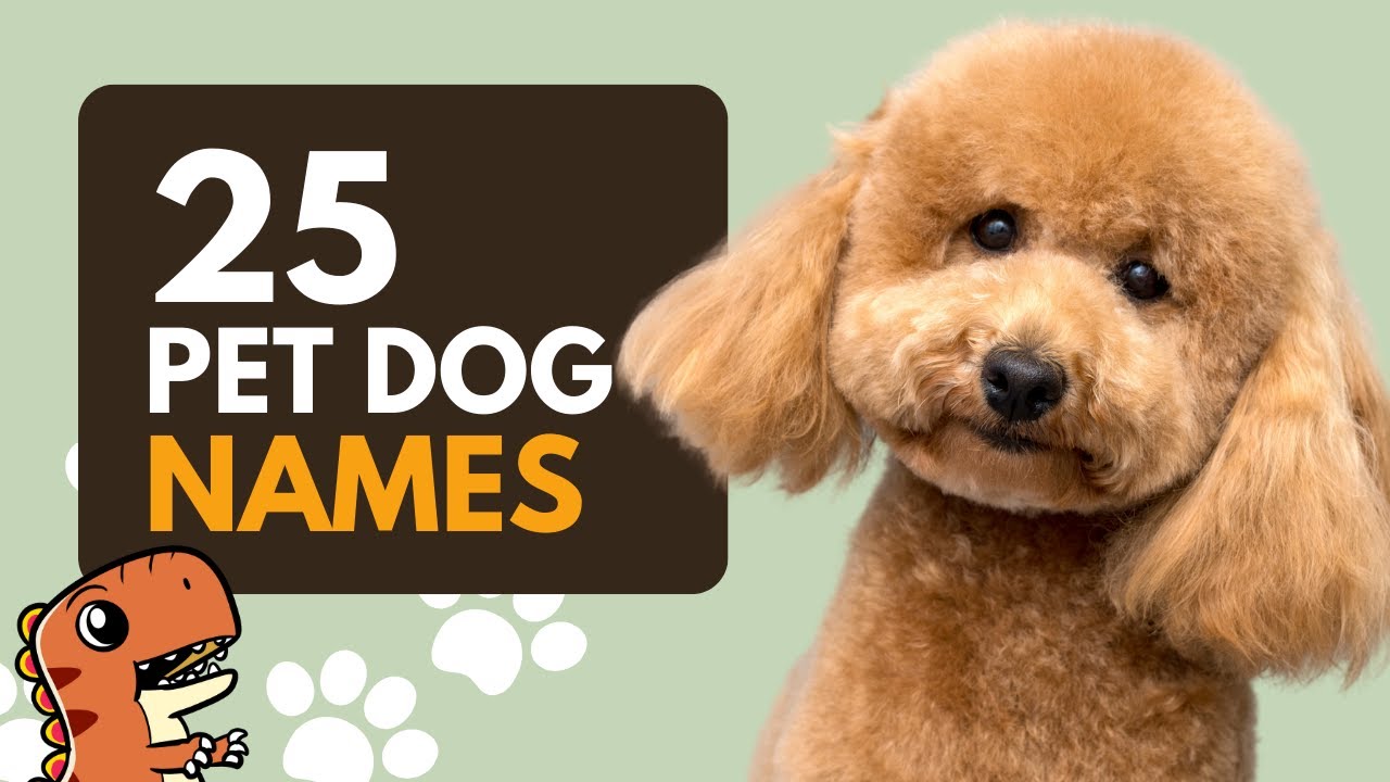 25 Pet Dog Names for Kids to Learn - Educational Video - YouTube