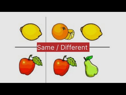 Same /Different Concept for kids//same/Different for pre school - YouTube