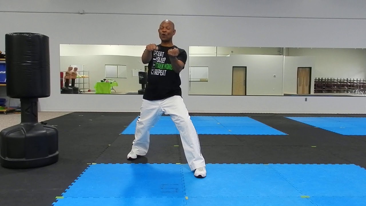 Lunge Punch Reverse Punch - YouTube