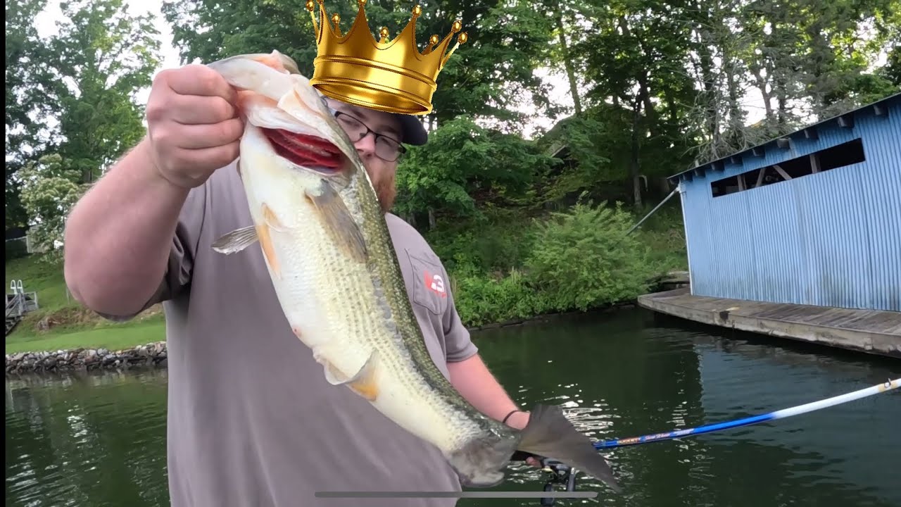 Post spawn Fort Patrick Henry fishing (THE KING GETS A BIGUN!) - YouTube