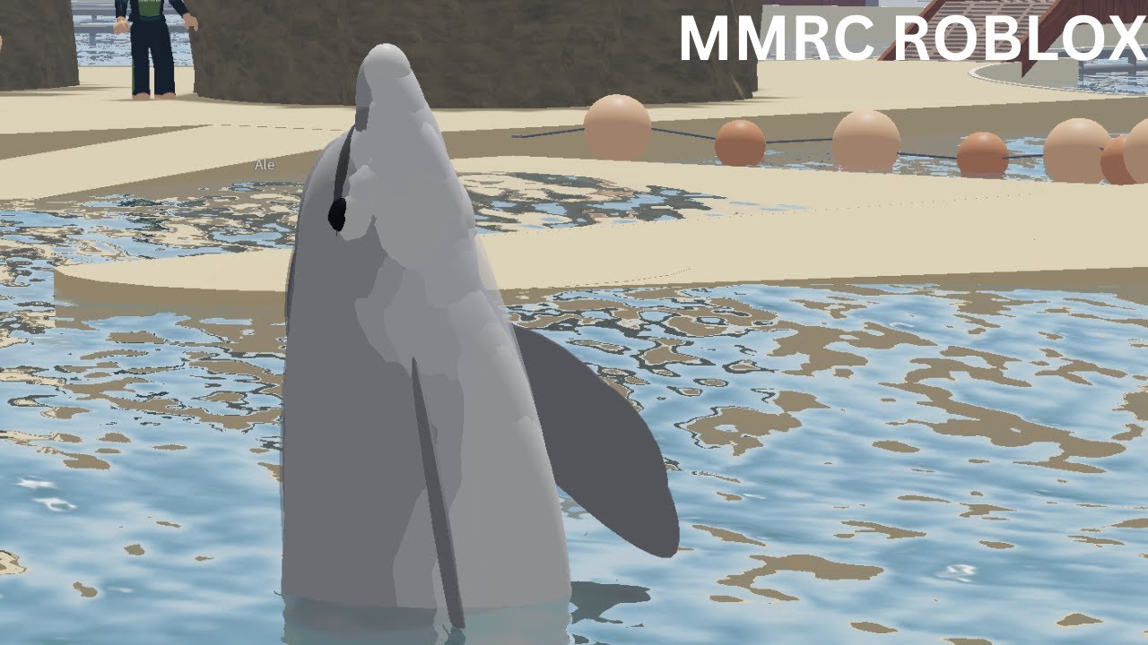 Dolphin Adventures | MMRC Roblox - YouTube
