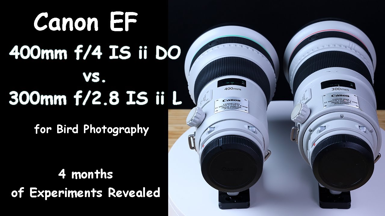 Canon EF 400mm F 4 IS Ii DO Vs EF 300mm F 2 8 IS Ii L For Bird