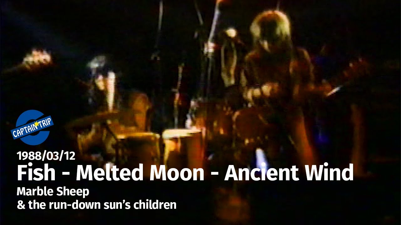 Fish - Melted Moon - Ancient Wind / Marble Sheep & the run-down sun’s ...