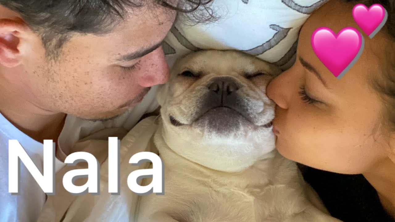 Nala being an embodiment of cuteness for 2 minutes - YouTube