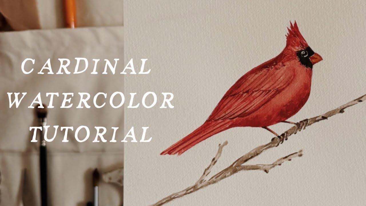 Cardinal Bird Watercolor Tutorial - YouTube