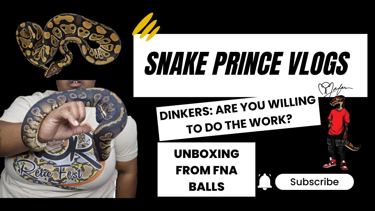 SnakePrinceVlogs: UNBOXING DINKER PROJECTS FROM FNA BALLS - YouTube